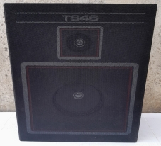 Cassa Amstrad Tower TS46 da usare come monitor o altri usi, cassa a 2 vie 